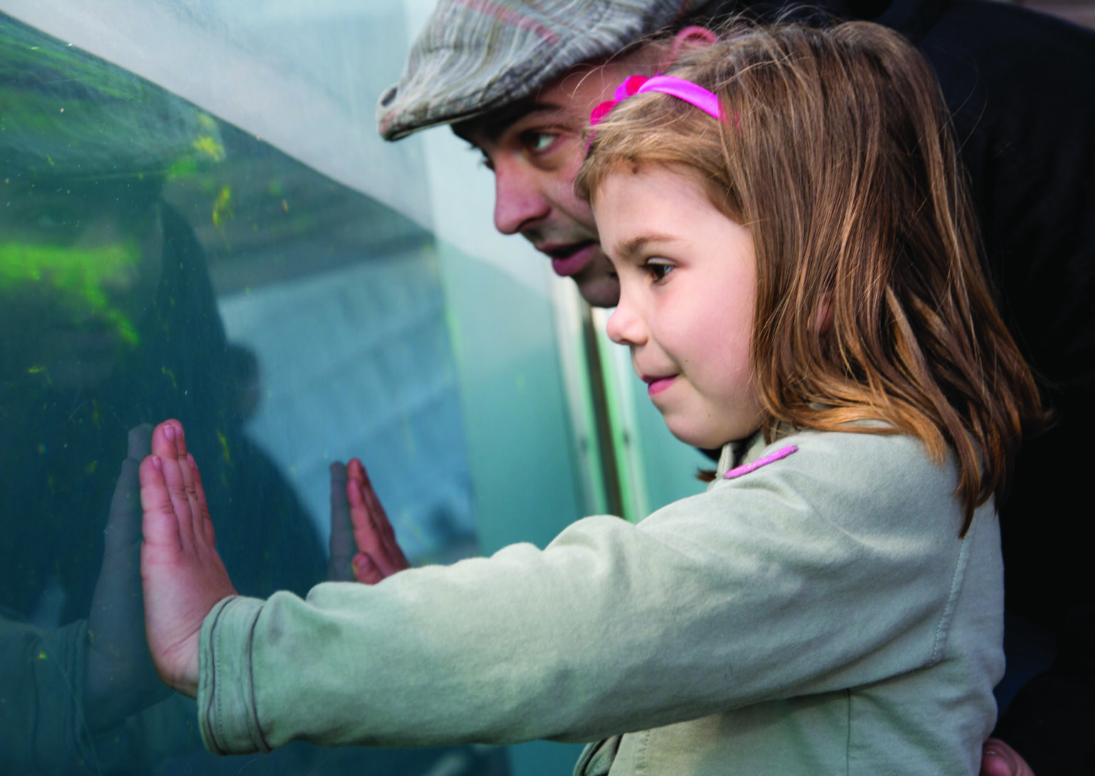 Transport your family – Under the Sea! - Amtrak Downeaster