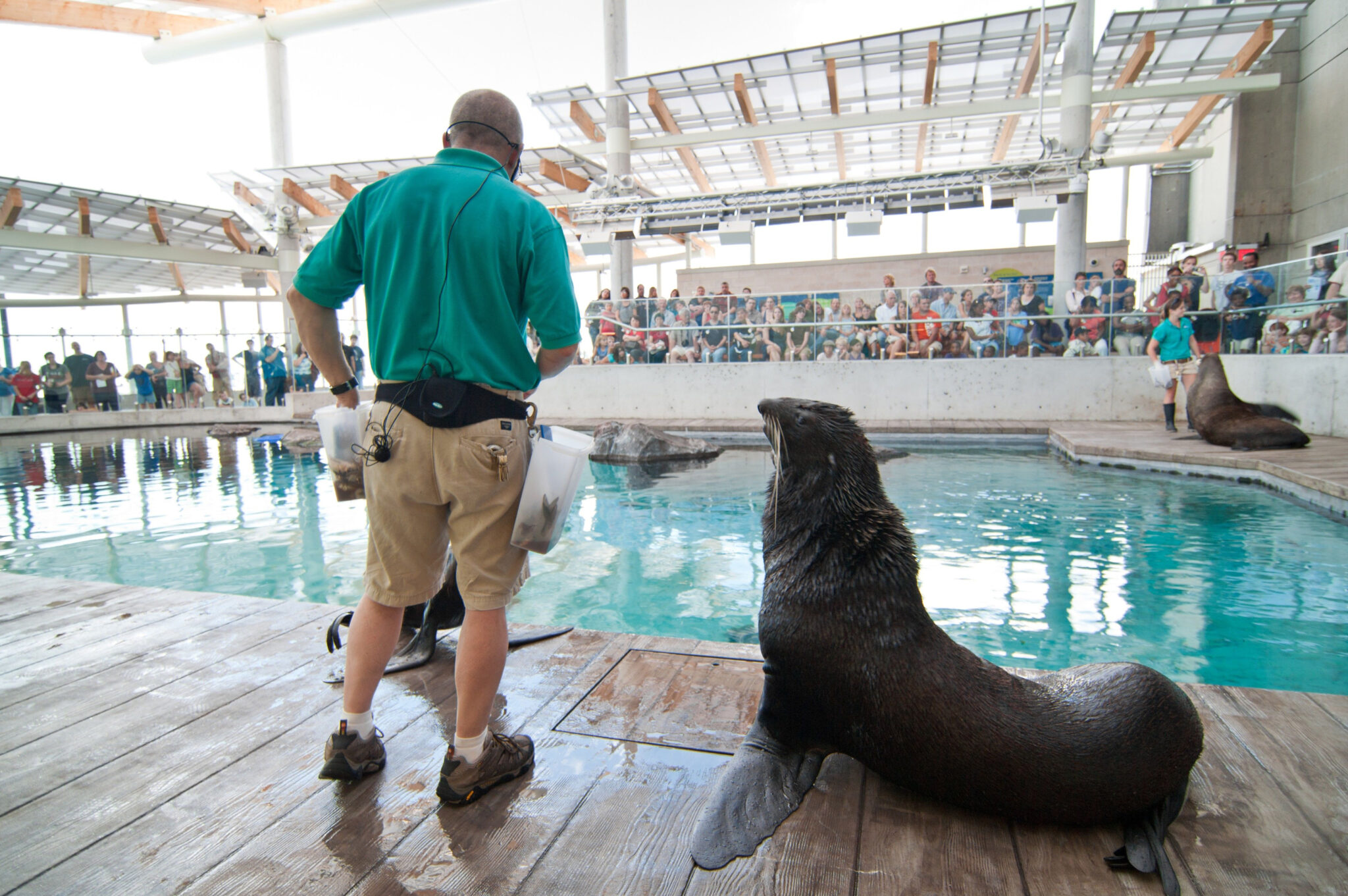 Transport your family – Under the Sea! - Amtrak Downeaster